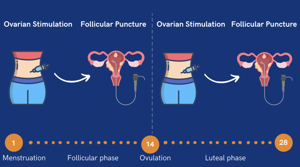 Dual Stimulation IVF: A Game-Changer for Poor Responders and Low ...